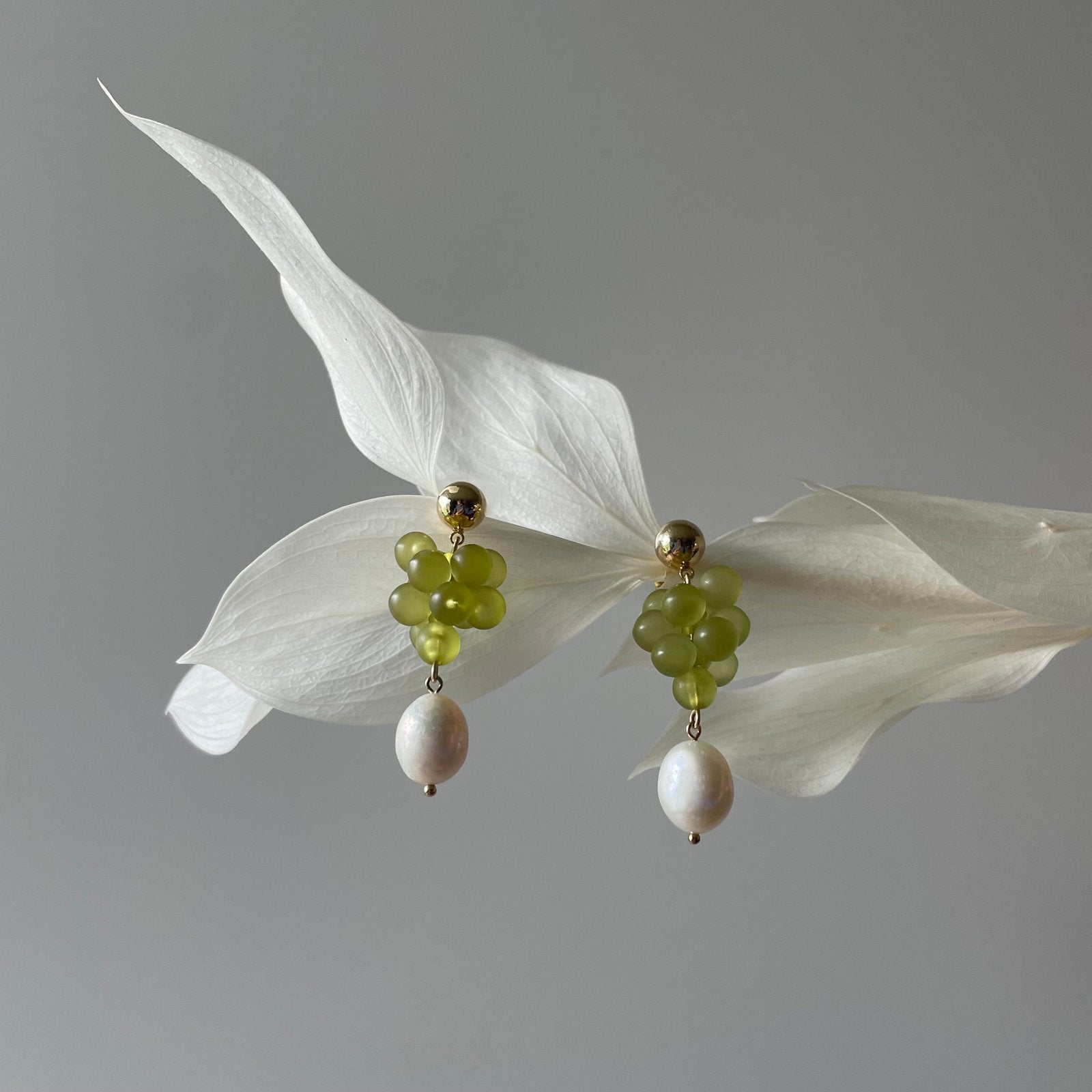 Lola II – project bon